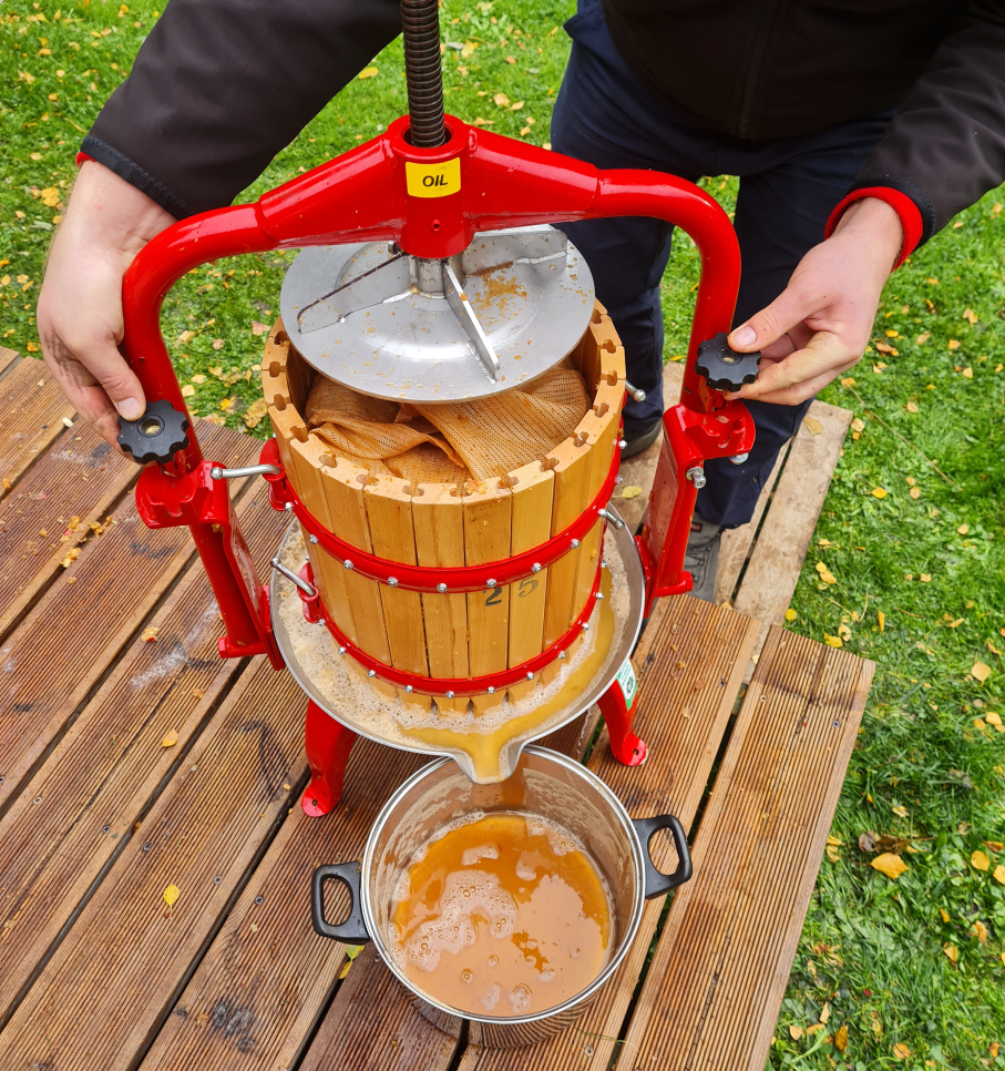 which fruit press is best? — fruit presses and apple shredders